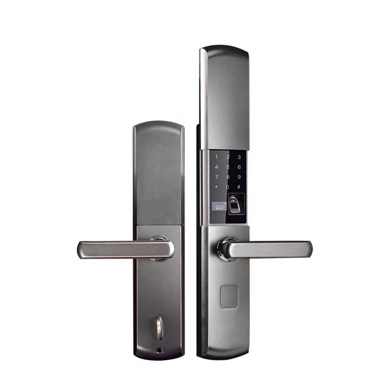 Verrouillage de porte électronique domestique, grand verrou de porte de ...